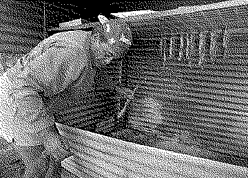 Honolulu Star-Bulletin Features