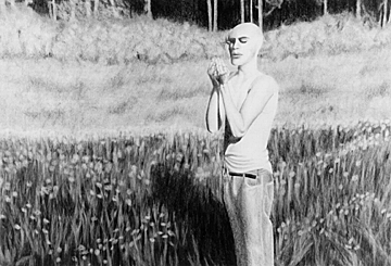 Honolulu Star-Bulletin Features