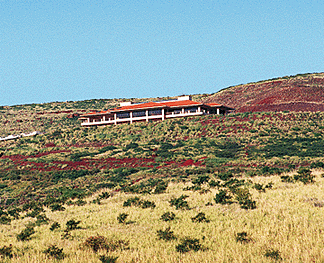 Honolulu Star-Bulletin Stuffs