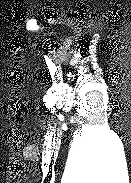 Honolulu Star-Bulletin Local News