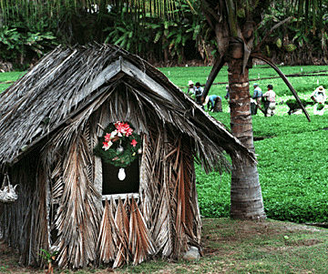 Honolulu Star-Bulletin Local News