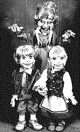 Honolulu Star-Bulletin Stuffs