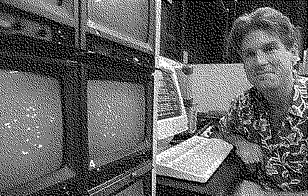 Honolulu Star-Bulletin Features