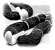 Honolulu Star-Bulletin Local News