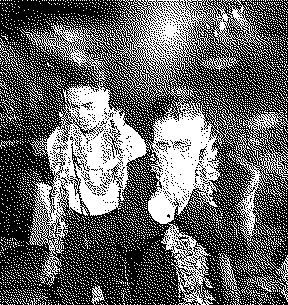 Honolulu Star-Bulletin Features