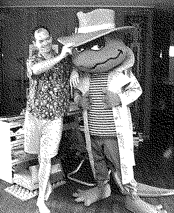 Honolulu Star-Bulletin Features