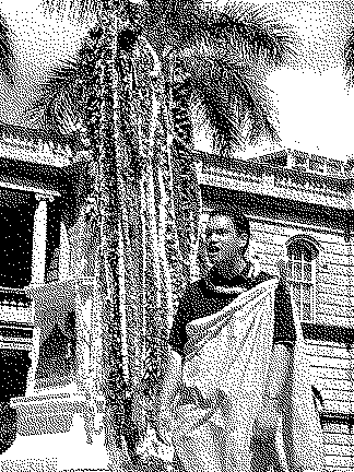 Honolulu Star-Bulletin Hawaii News