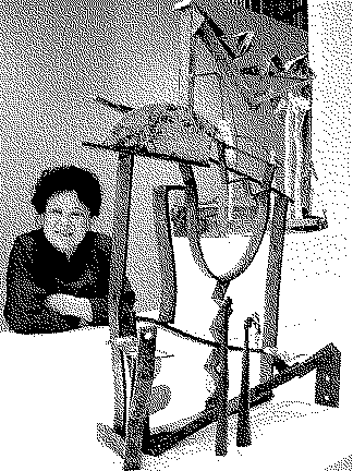 Honolulu Star-Bulletin Features