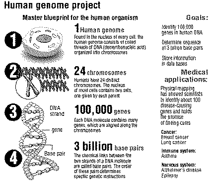 Honolulu Star-Bulletin Hawaii News