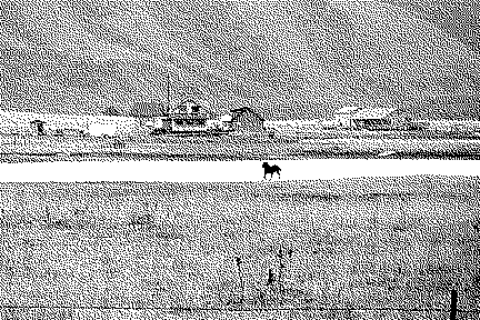 Honolulu Star-Bulletin Features