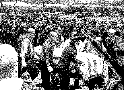 Honolulu Star-Bulletin Hawaii News