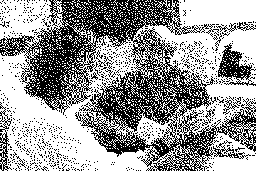 Honolulu Star-Bulletin Features