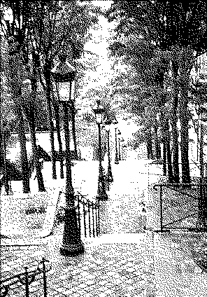 Honolulu Star-Bulletin Hawaii News