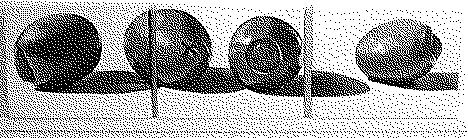 Honolulu Star-Bulletin Features