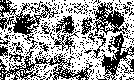 Honolulu Star-Bulletin Special
