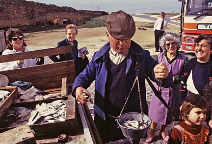 Honolulu Star-Bulletin Travel